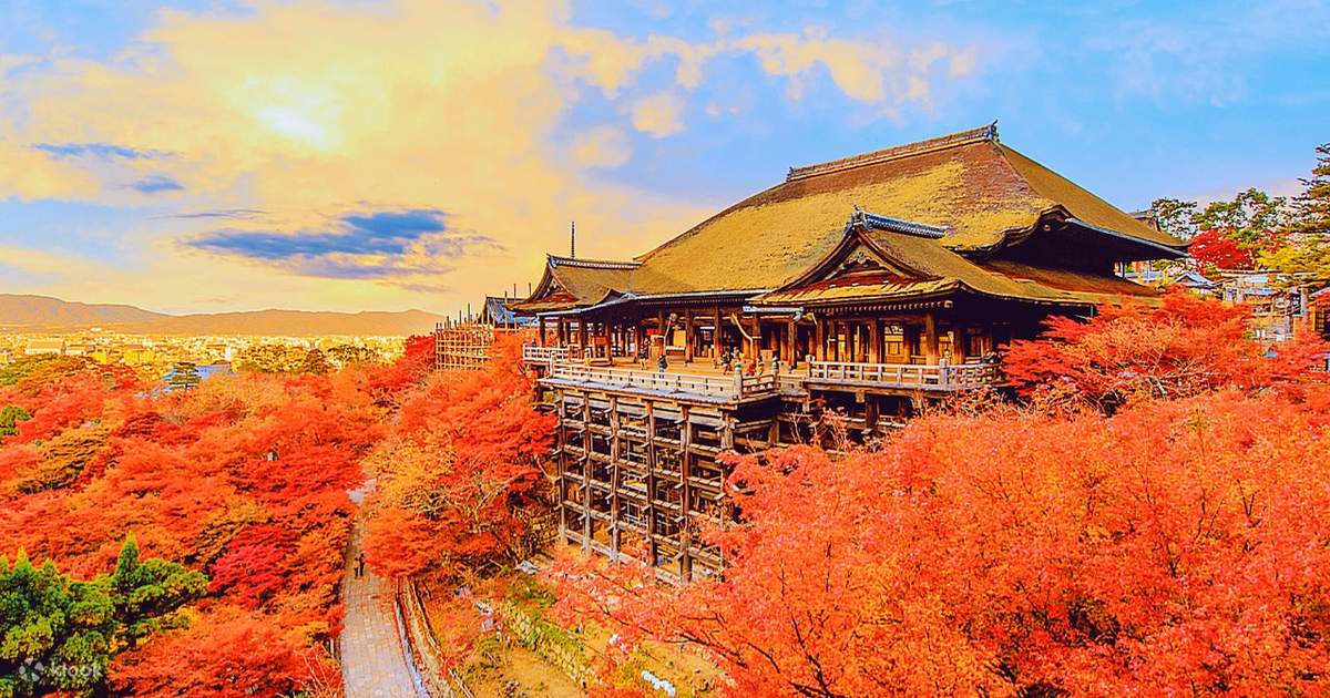 Kyoto and Nara Day Trip │ Kiyomizu-dera Temple + Fushimi Inari Shrine + Nara Park (From Osaka ...